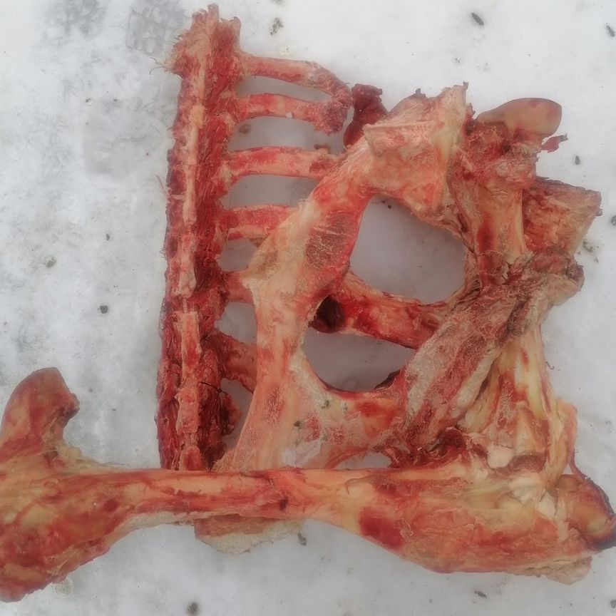 Кости для собак говяжьи