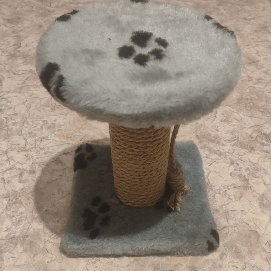 Когтеточка