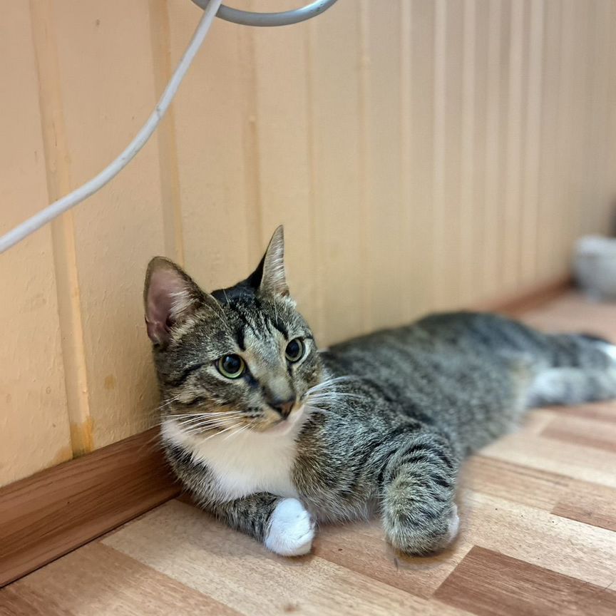 Забери меня домой