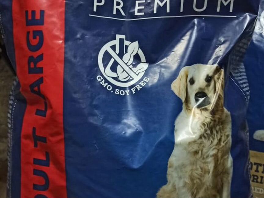 Сухой корм для собак крупных пород Brit Premium Do