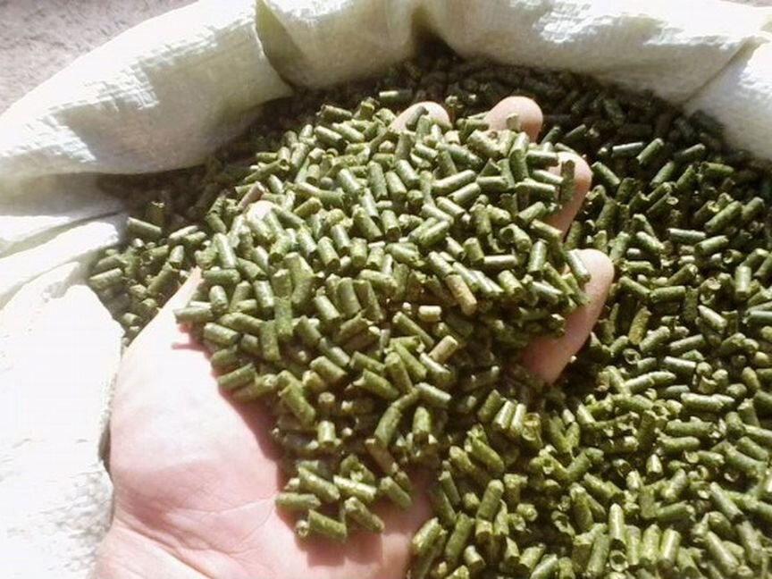 Грануляция