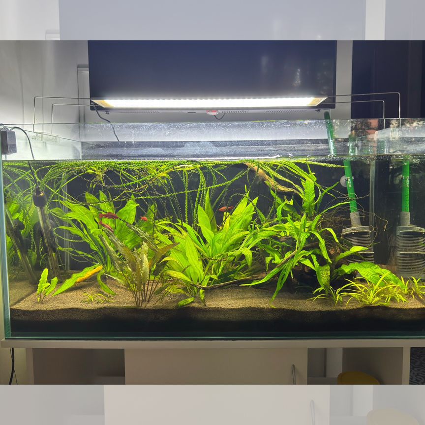 Аквариум 180 литров Nature Aqua Optifloat