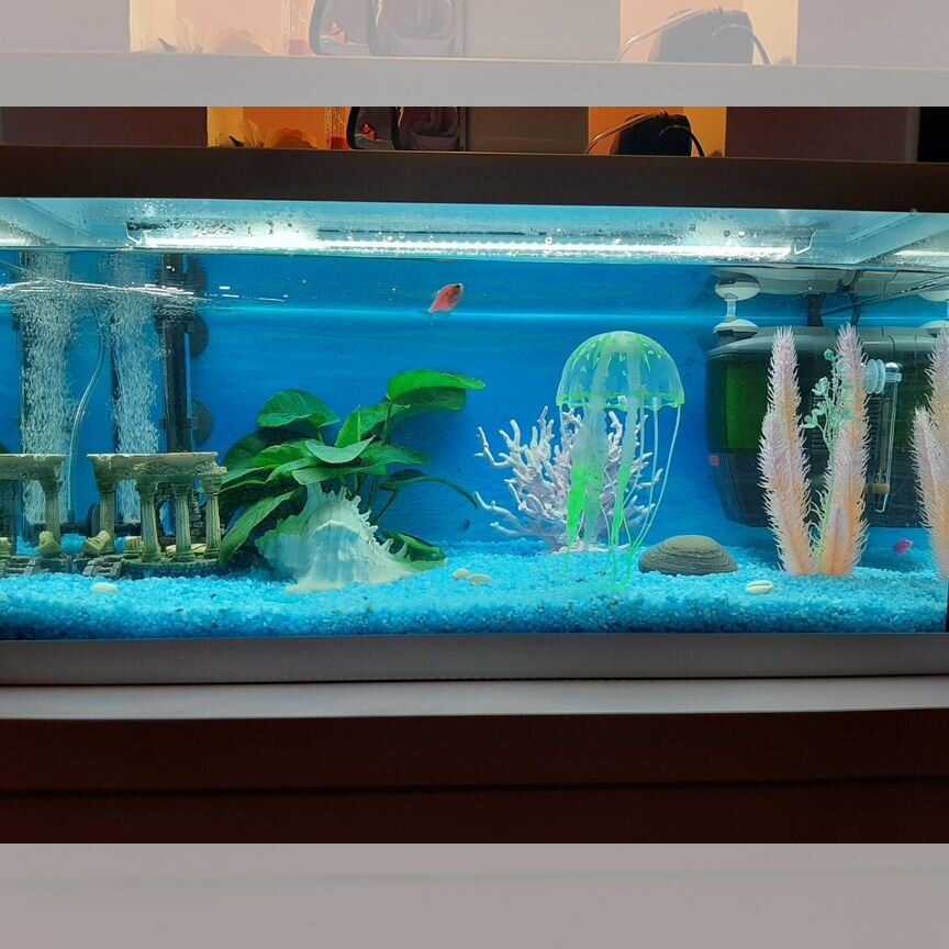 Аквариум eheim 54л