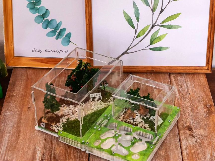 Муравьиная ферма под ключ