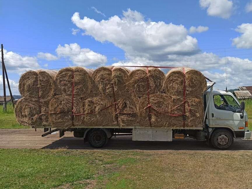 Сено, солома