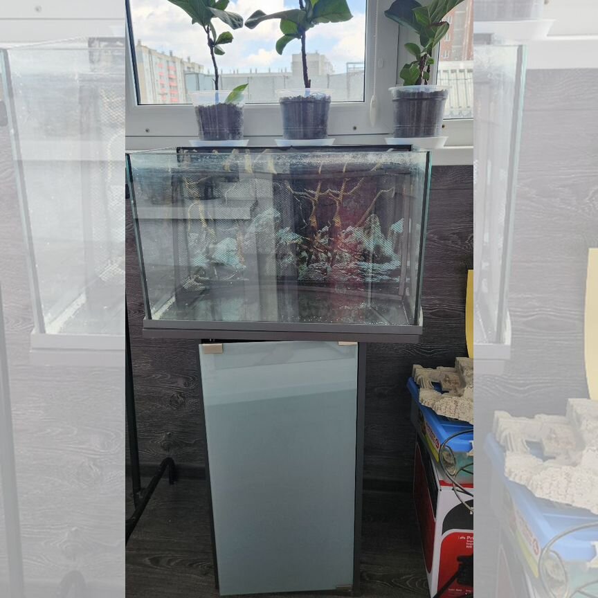 Аквариум 50 литров