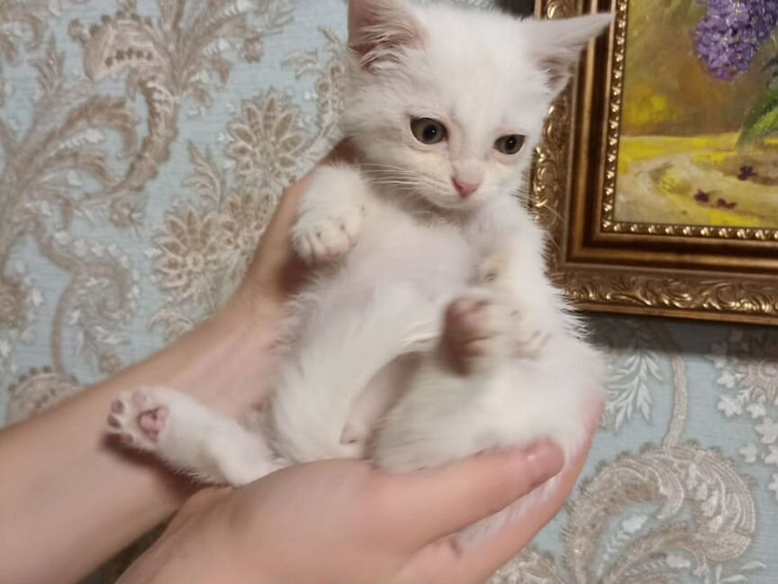 Мальчик 1, 5 месяца