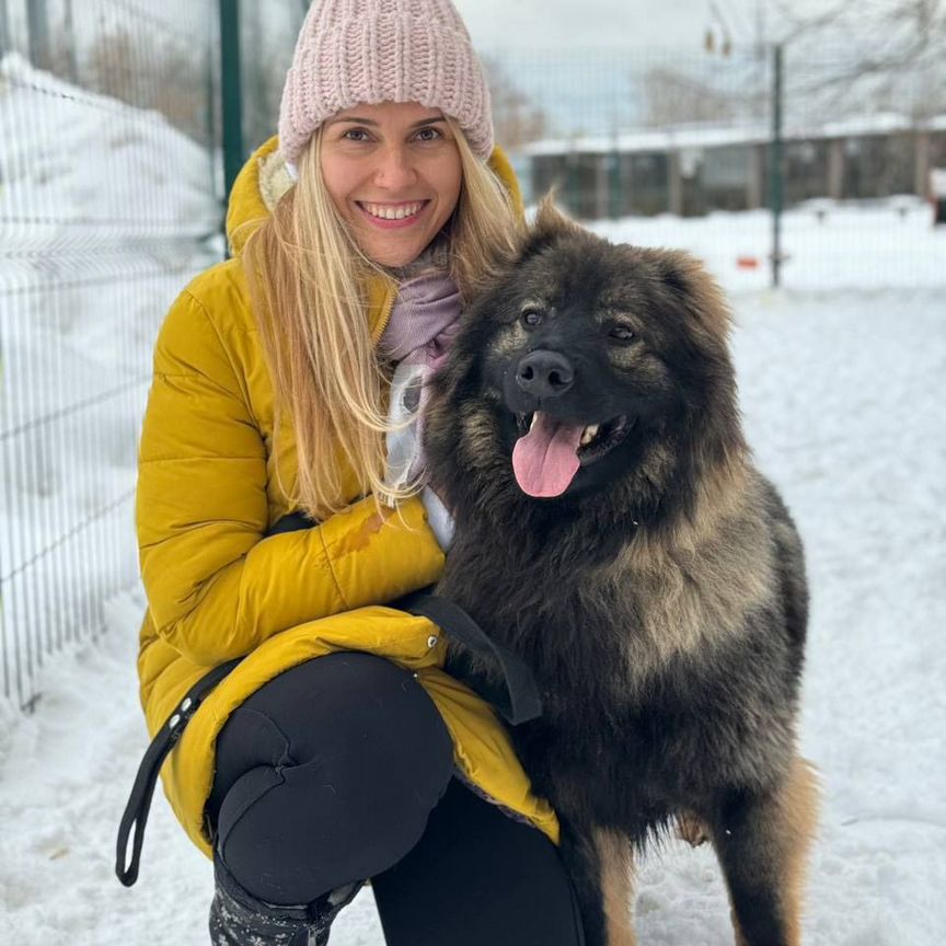 Наш ласковый медвежокок в добрые руки