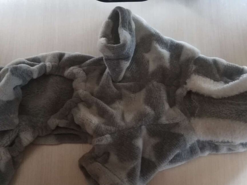 Одежда для кошек