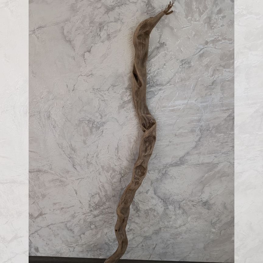 Коряга