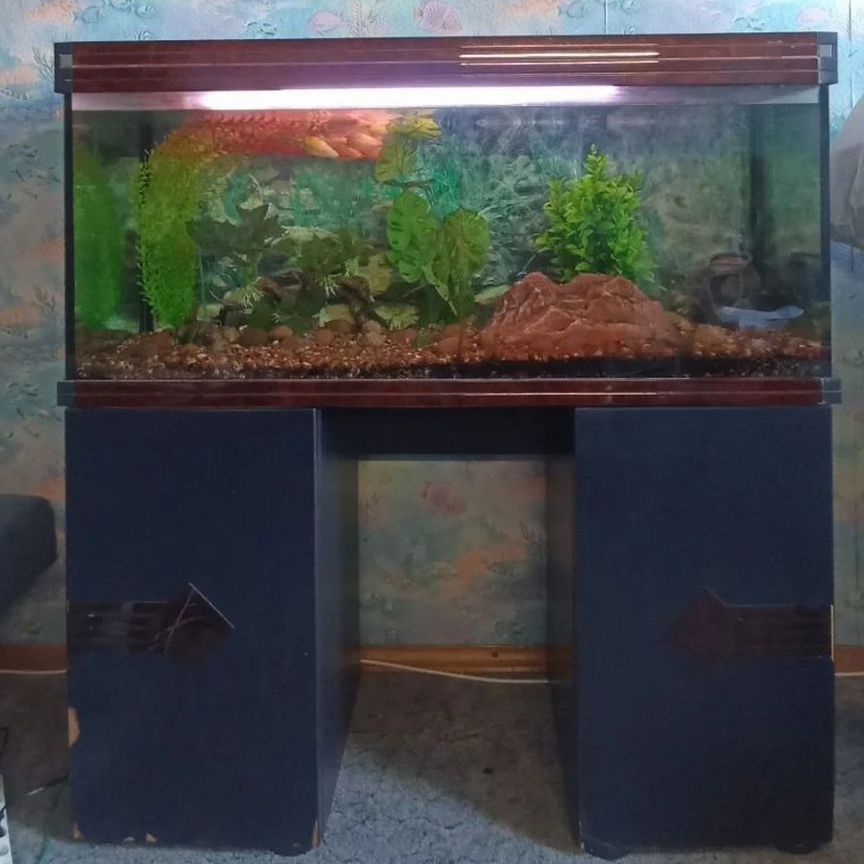 Аквариум с тумбой 240 литров eheim