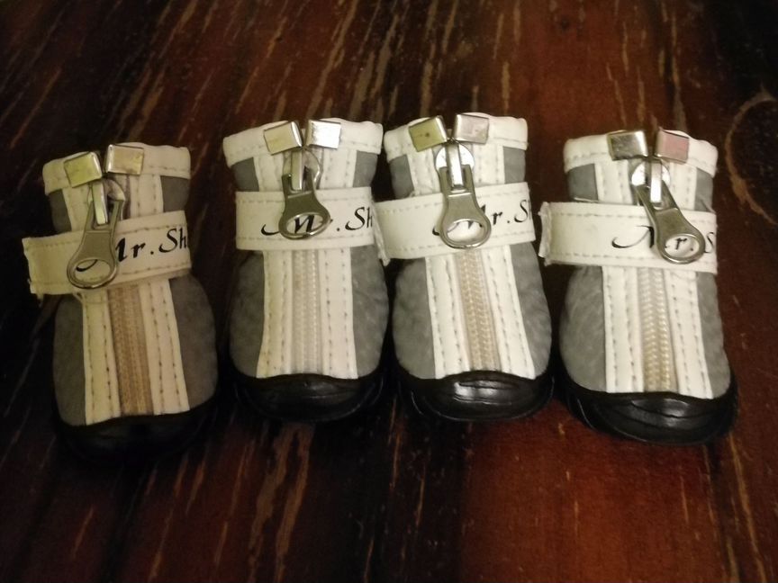 Обувь для маленьких собак