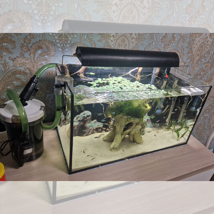 Готовый аквариум