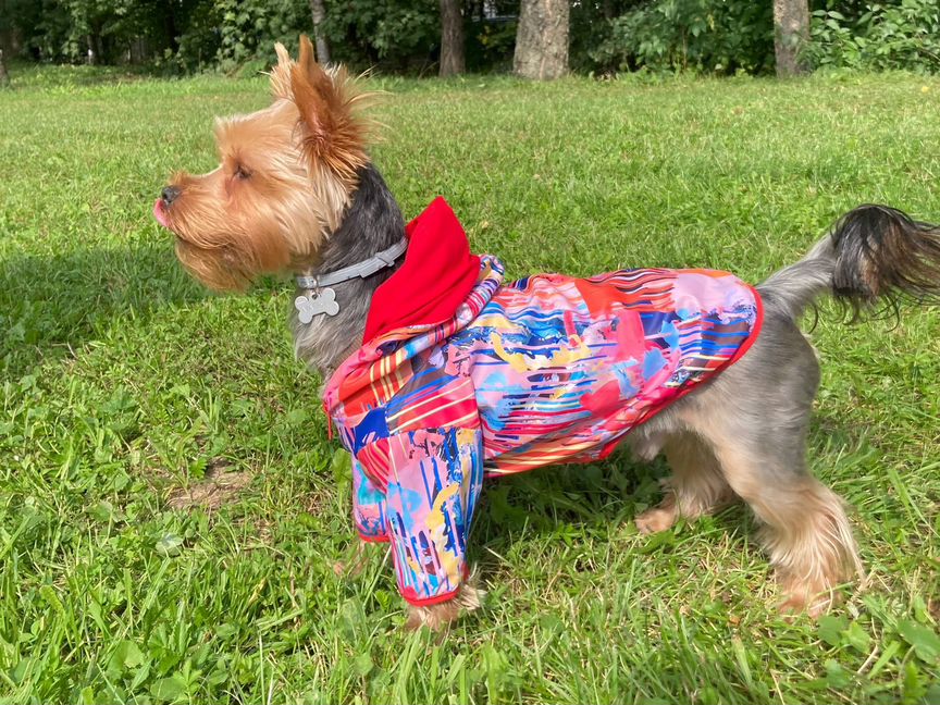 Одежда для собак «Фифа»