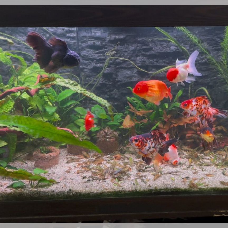 Продаю объёмный 3D фон aquael