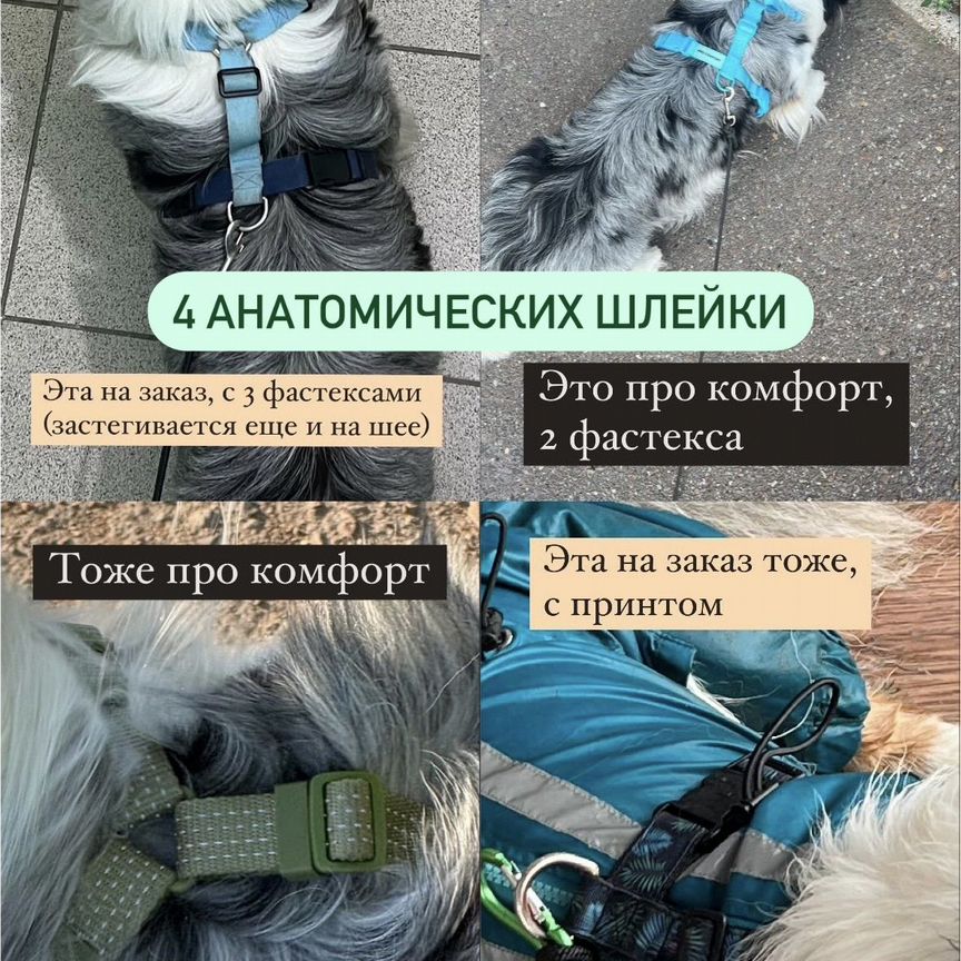 Анатомическая шлейка для собаки 4 шт