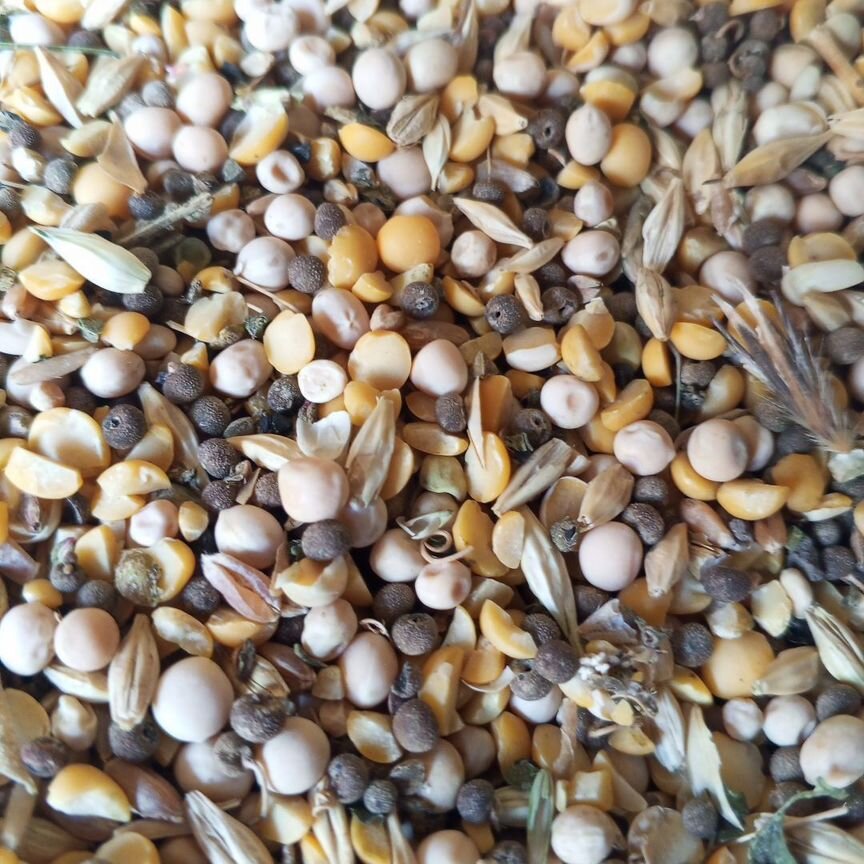 Горох отходы