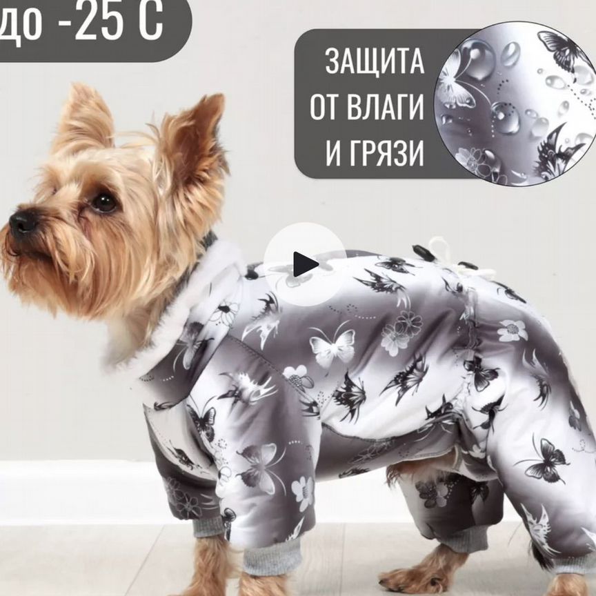 Зимний комбинезон для кобеля