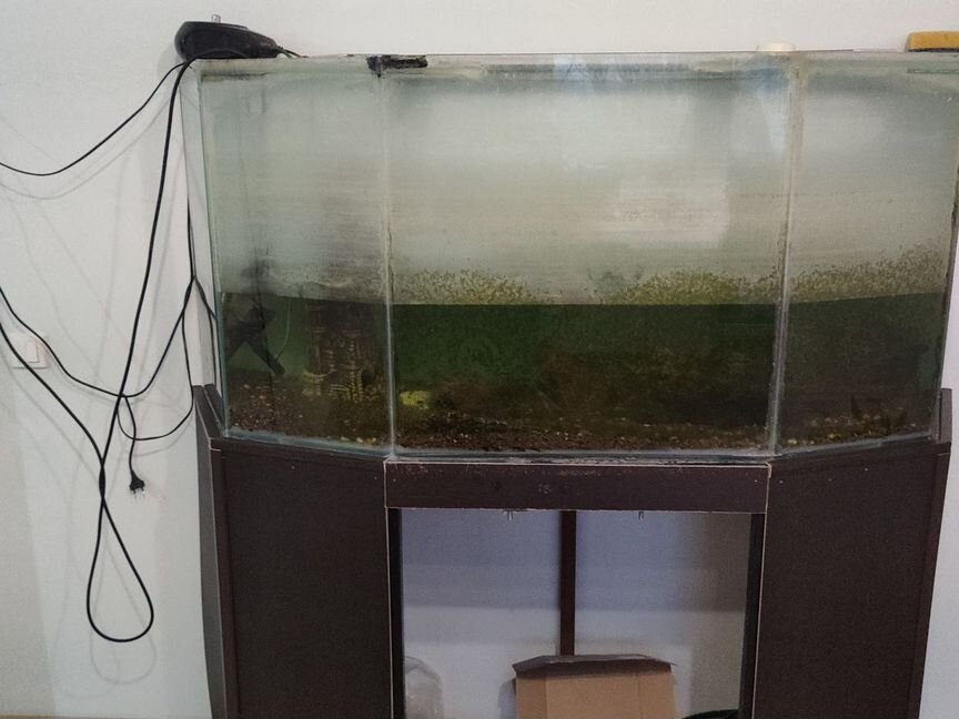 Аквариум с тумбой 460 литров