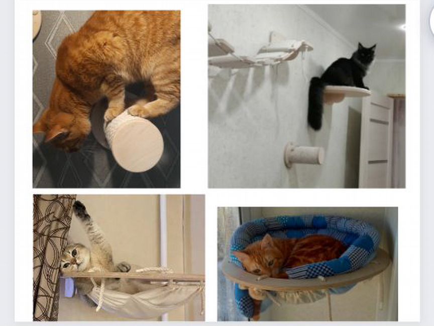 Аксессуары настенные для кошек