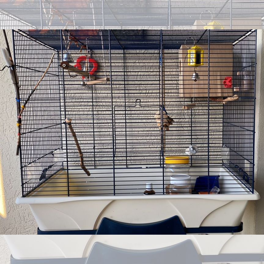 Птичья клетка