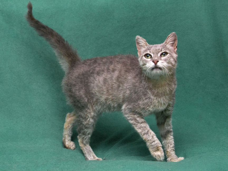 Ксюшенька ласковая добрая девочка