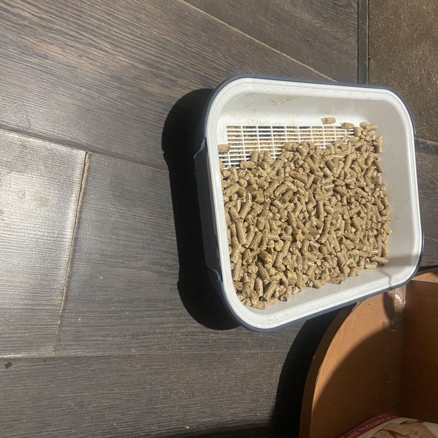 Лоток для кошек