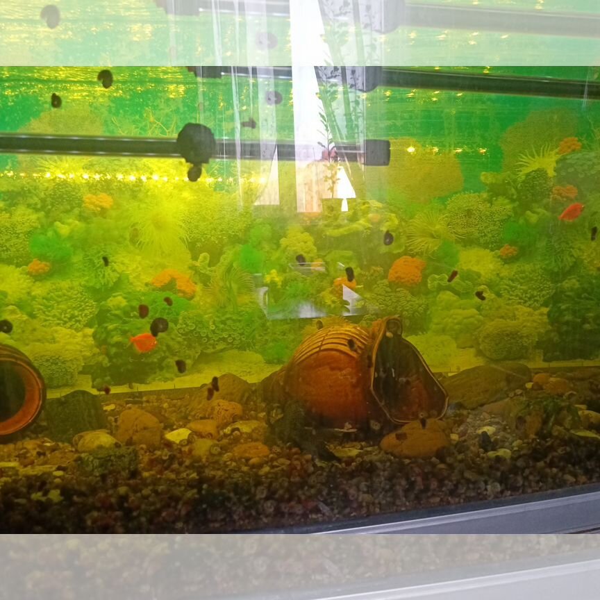 Аквариум цельнолитой Jebo с тумбой,125*43*56