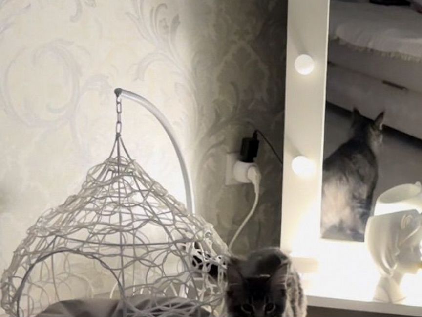 Кресло кокон для кошки