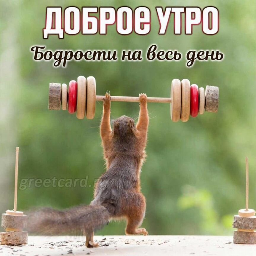 Сено в рулонах