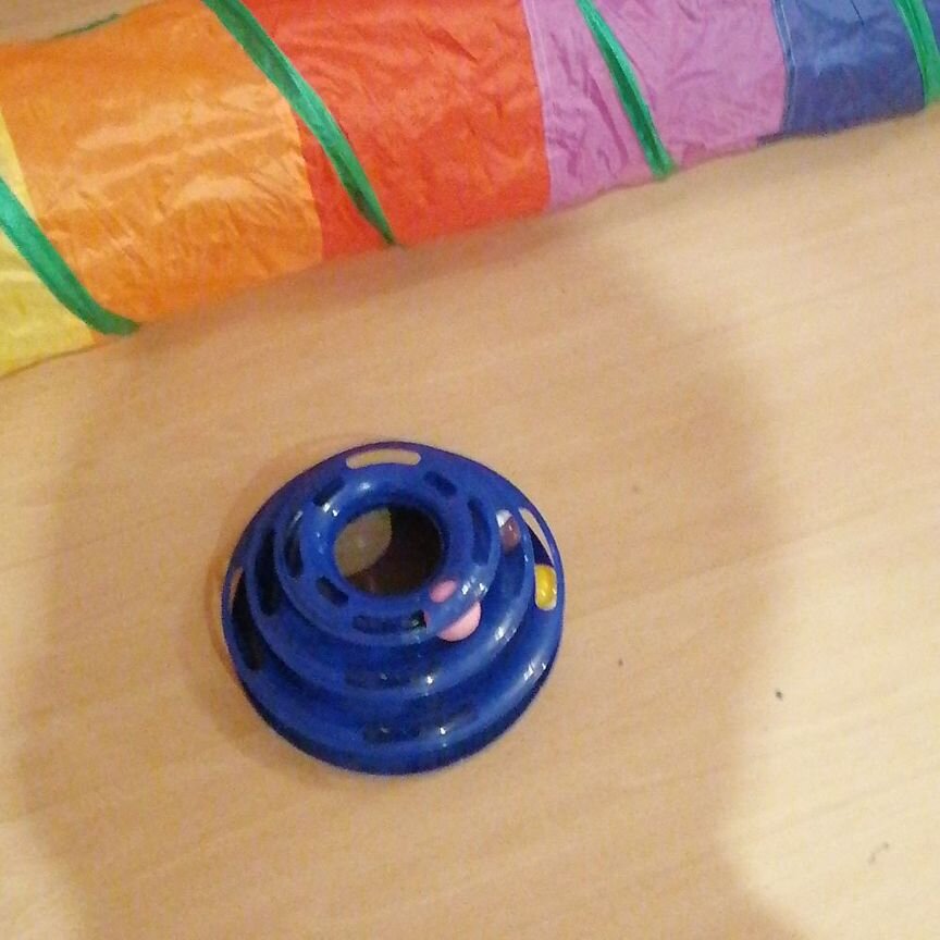 Игровой тоннель для кошек