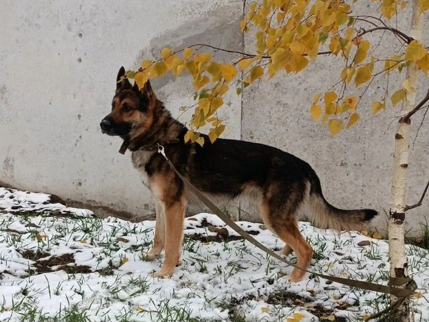 Гром