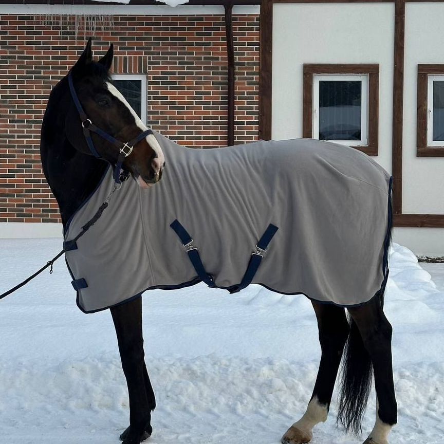 Попона с капором для лошади