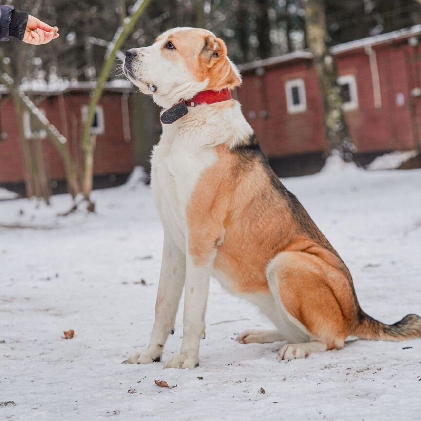 Гретта, невероятная красотка