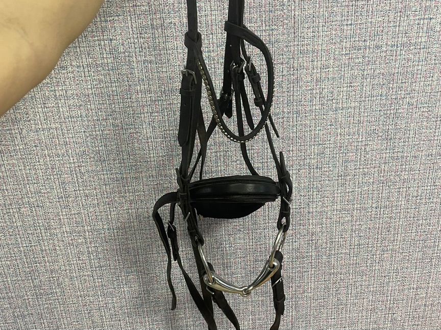 Уздечка для лошади