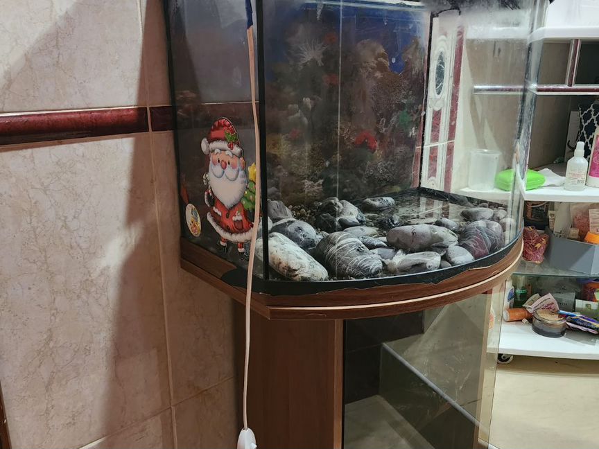 Аквариум