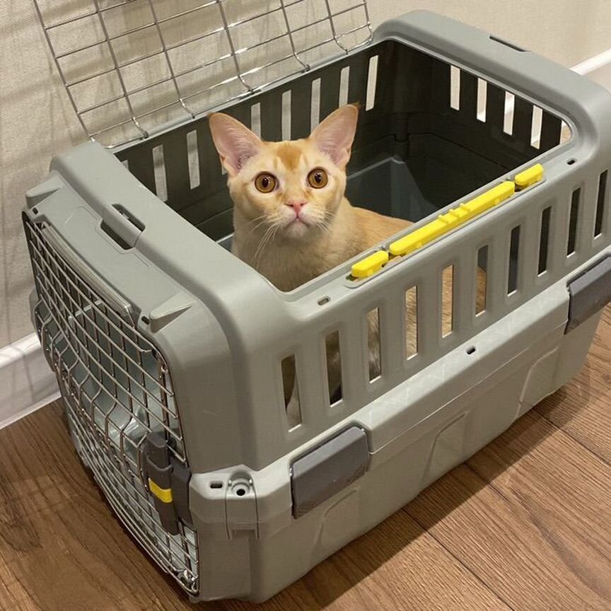 Переноска Moderna Small