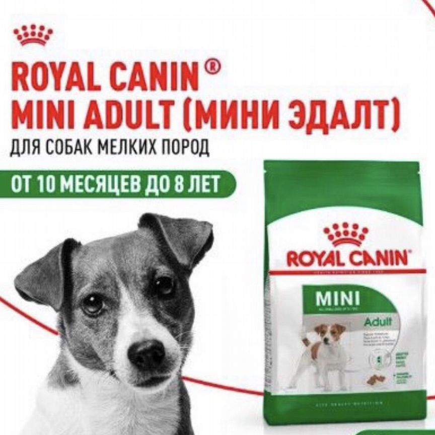 Корм для собак. Доставка для Дмитрия