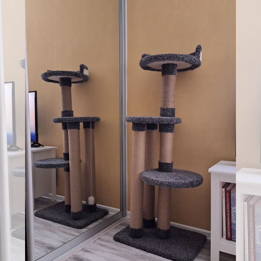 Когтеточка