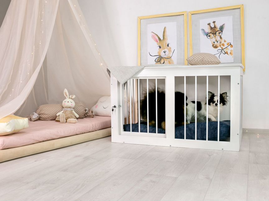 Вольеры домашние