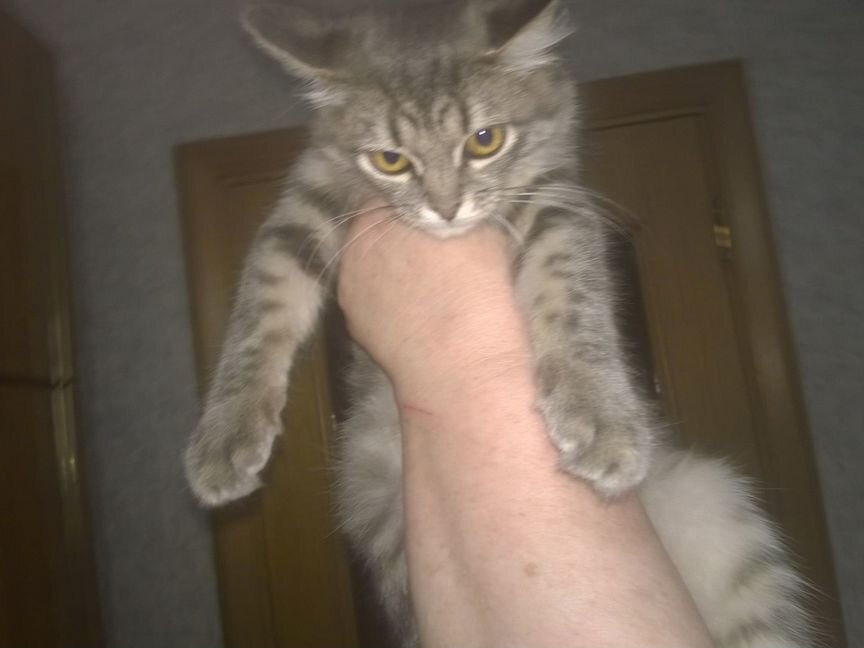 Предложение