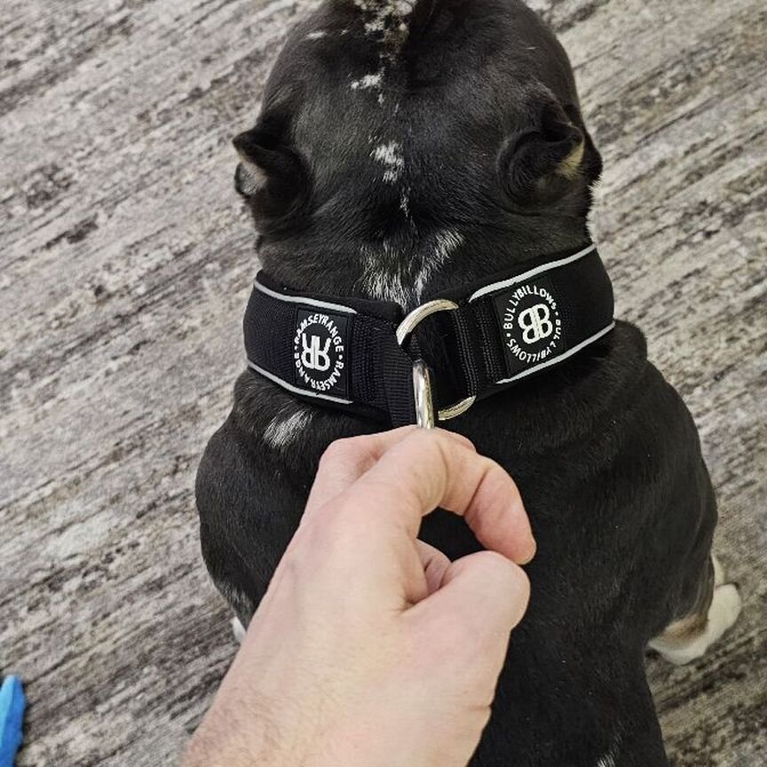 Ошейник Slip-On 4 см BullyBillows, XL