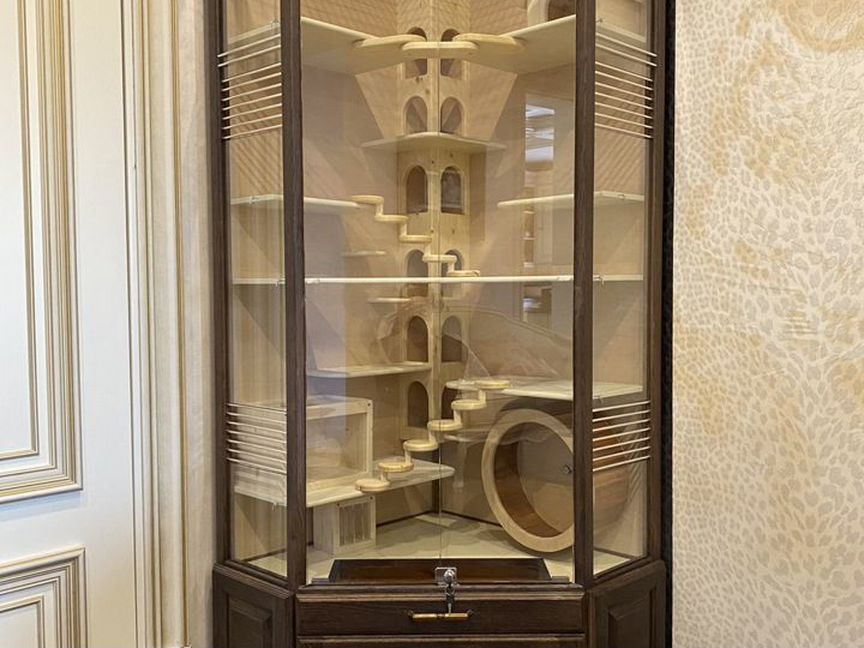 Витрина из дуба для шиншилл, дегу