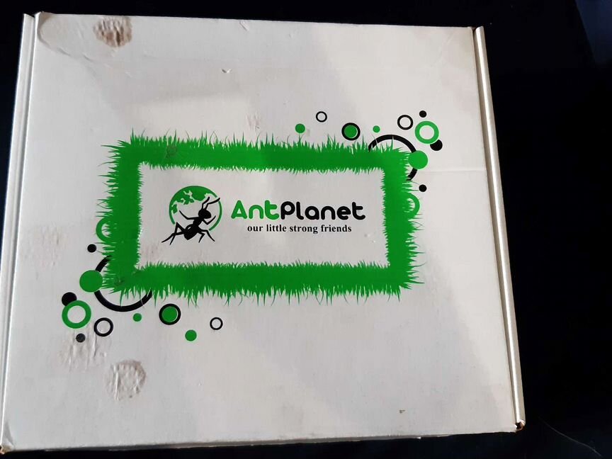 Муравьиная ферма бу