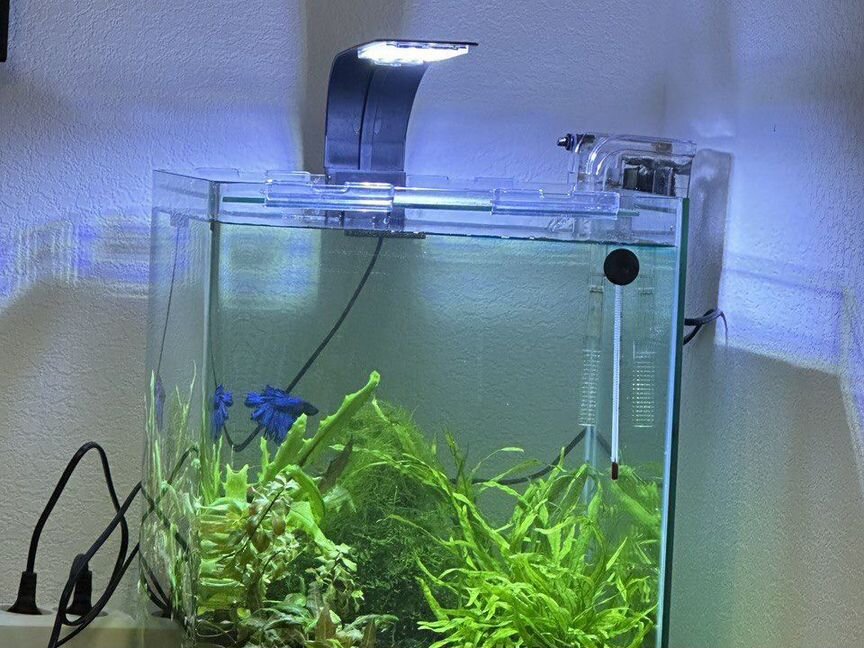 Аквариум с рыбками