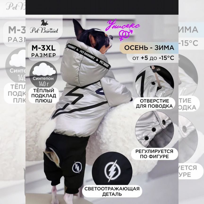 Одежда для собак средних
