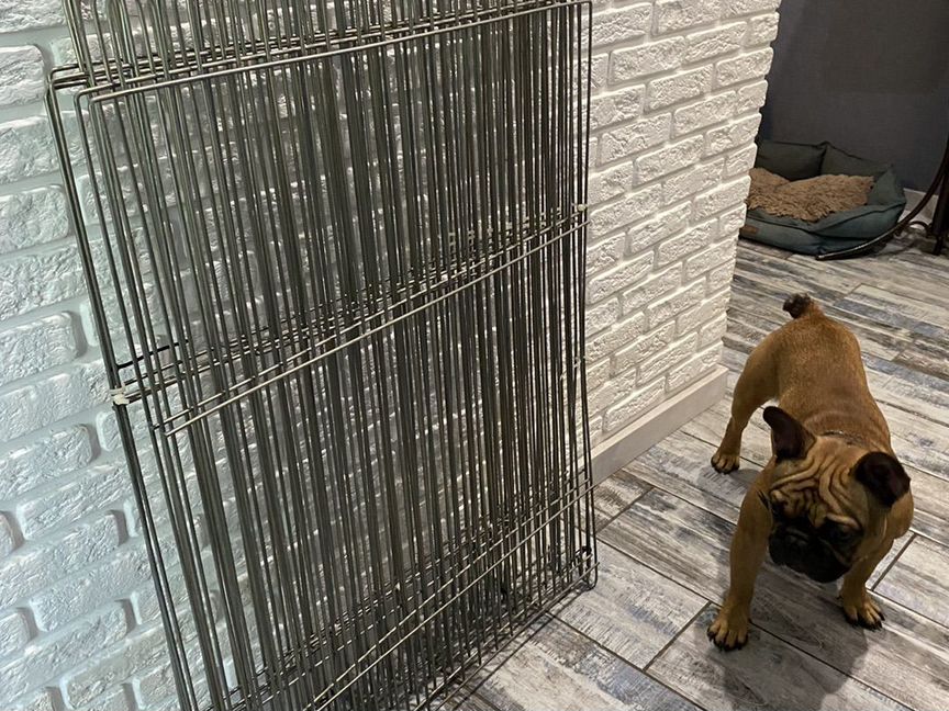 Вольер комнатный