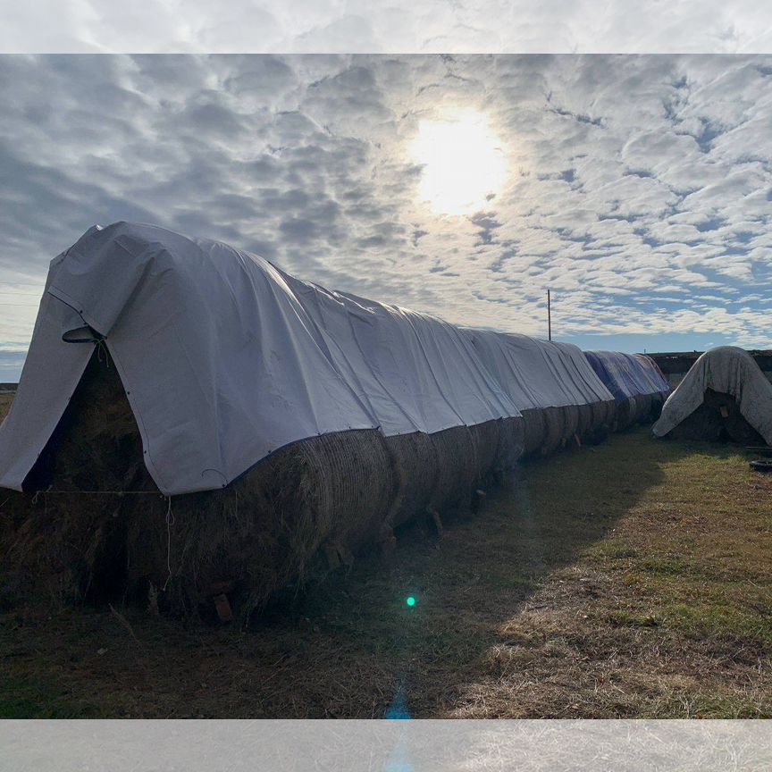 Сено в тюках