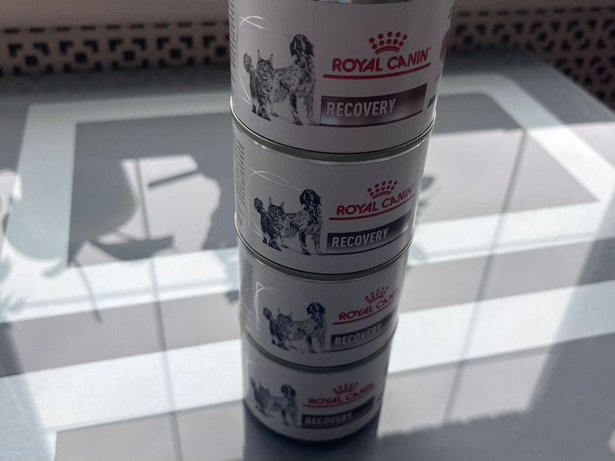 Корм для кошек royal canin