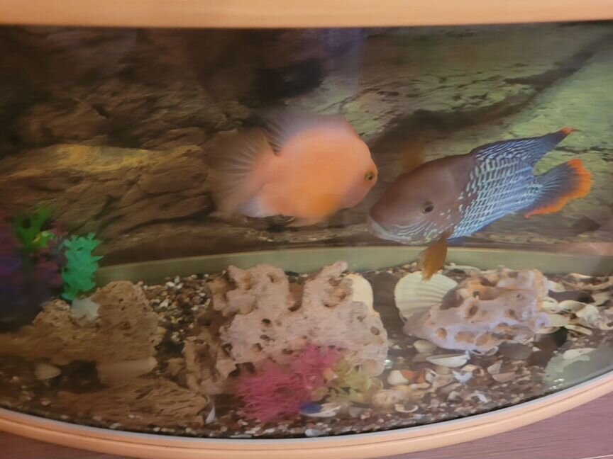 Аквариум с тумбой